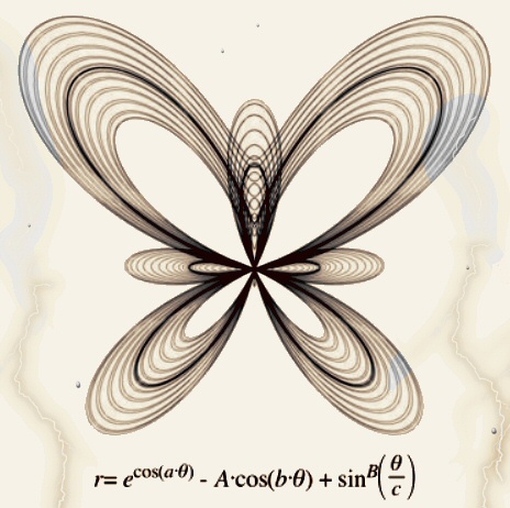 Butterfly Effect Math