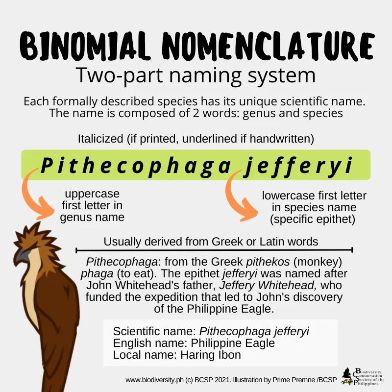 Binomial Nomenclature Examples