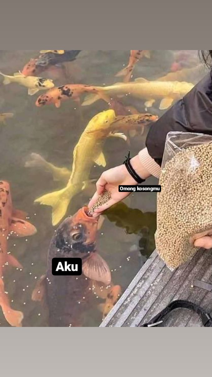 Rendy Ananta (@rendyznta) | Twitter