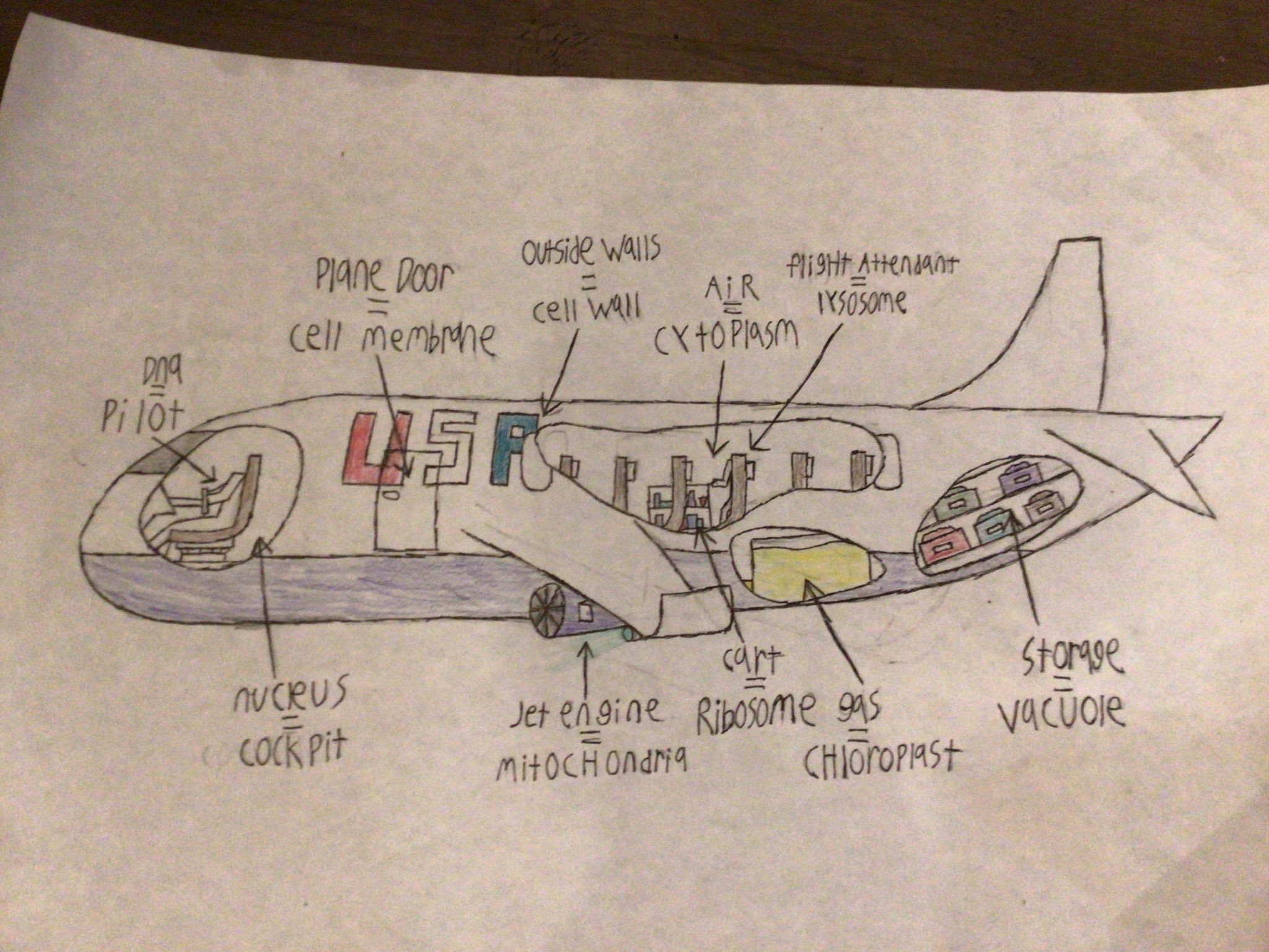 Cell Analogy Project Examples Mrs. Cockrum On X: "More Great Projects!