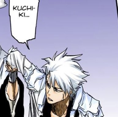 Toshiro Hitsugaya Timeskip