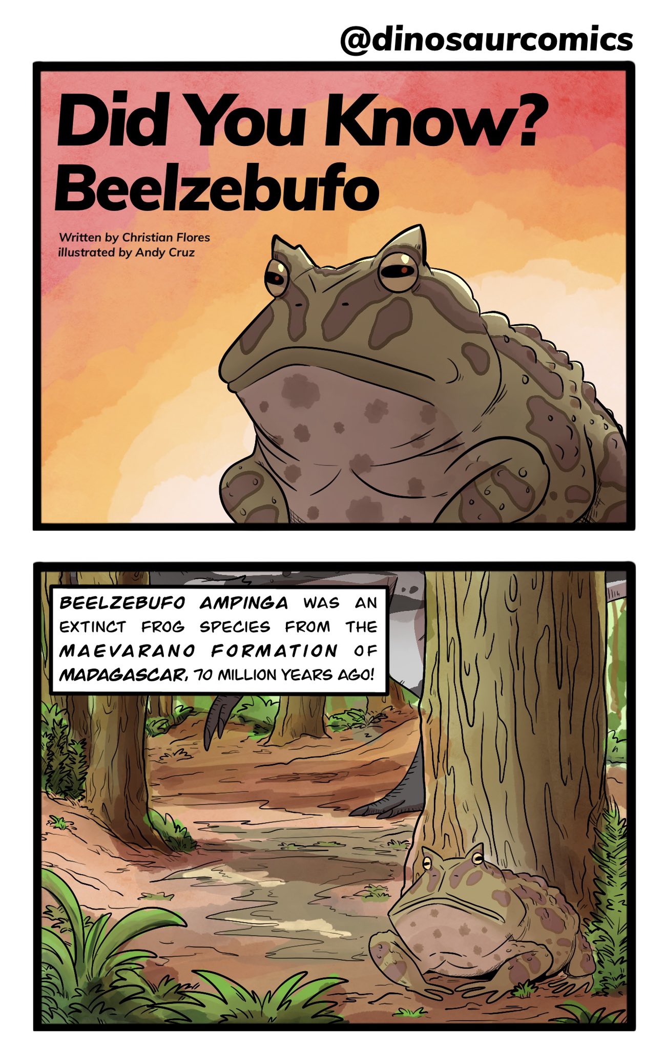 Beelzebufo Devil Frog