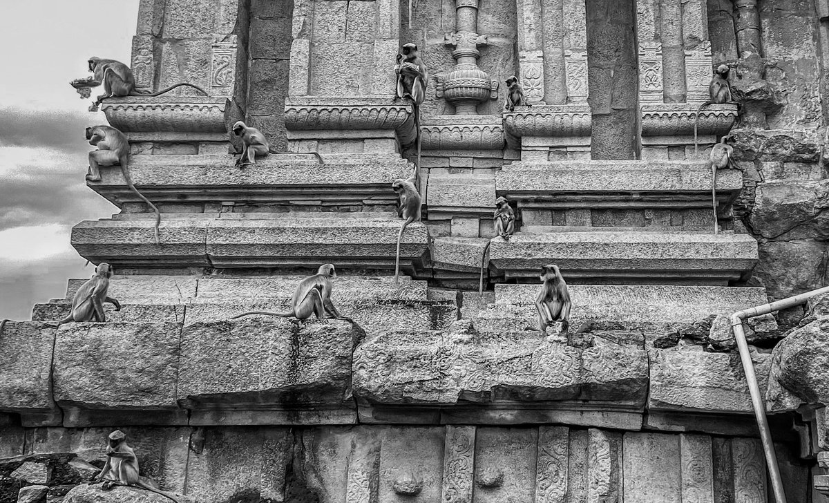 Rahul Machigar (@machigar_rahul) | Twitter