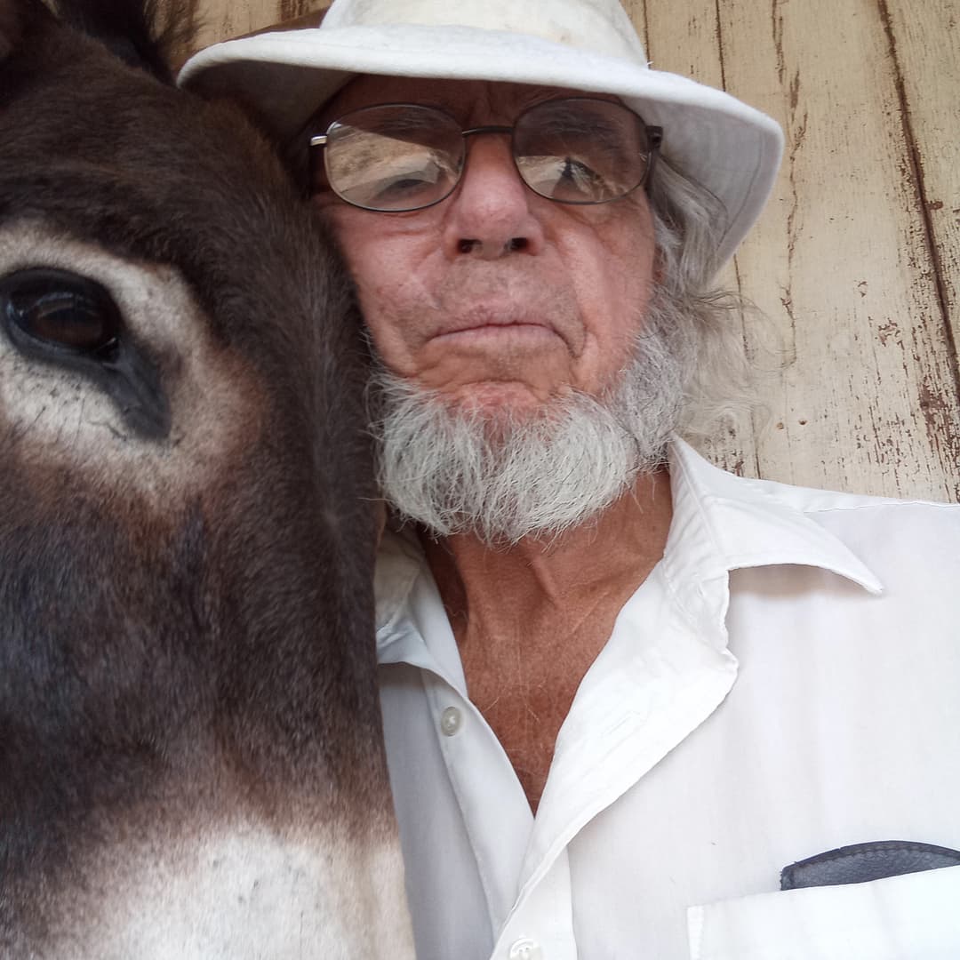 Thread by @JeffAndDonkeys on Thread Reader App – Thread Reader App