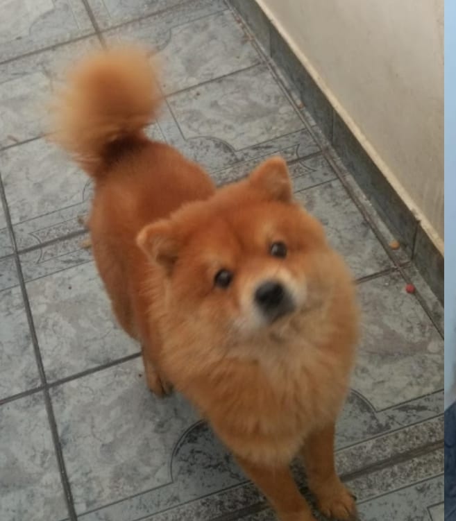 rayssinha (@alvs_Rayssa) | Twitter