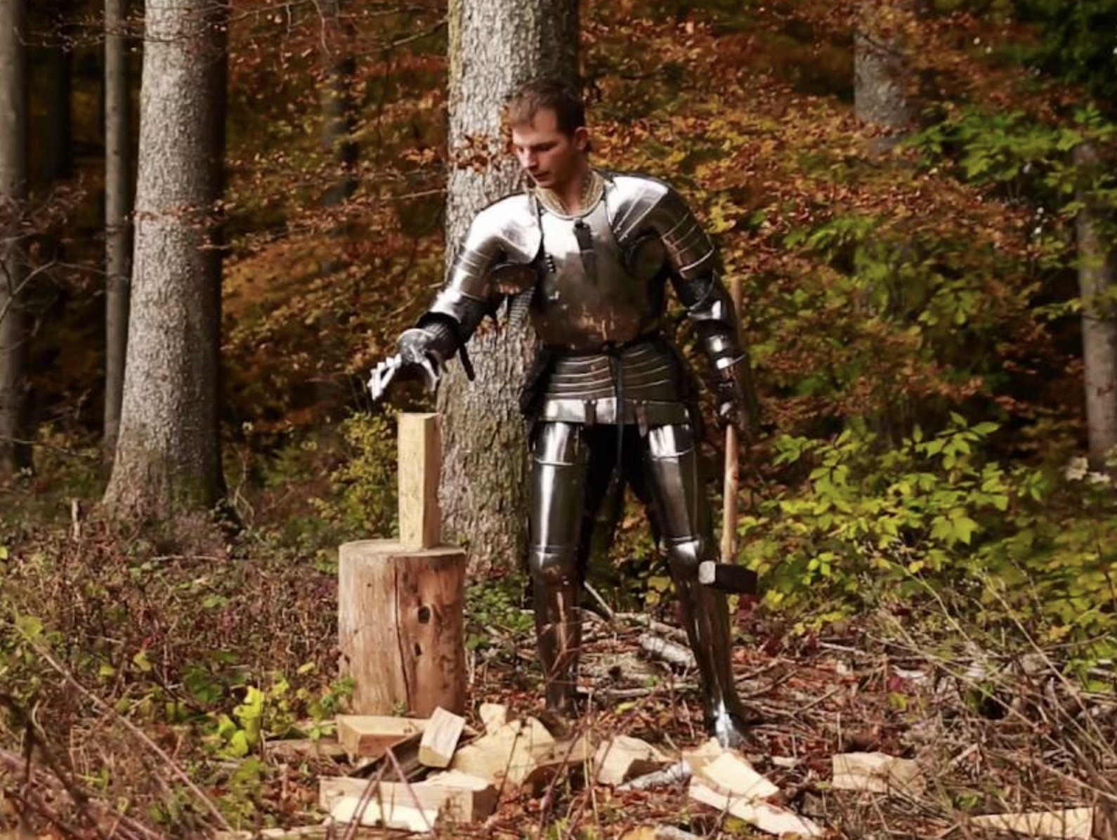 Real Full Plate Armor