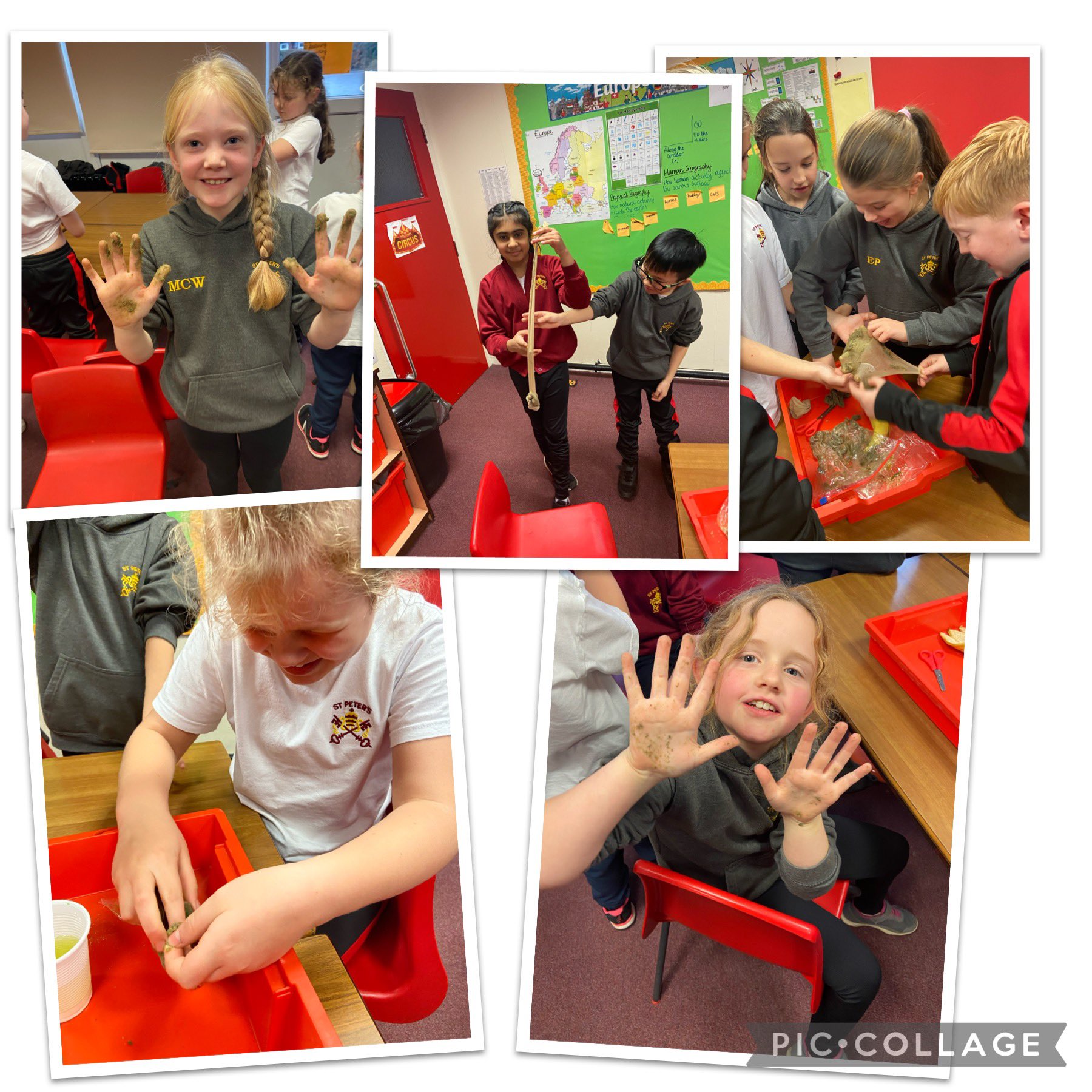 Real Small Intestine