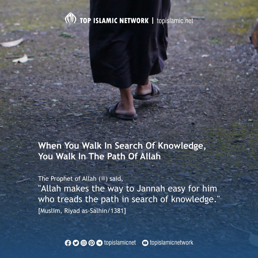 Knowledge Quotes In Islam