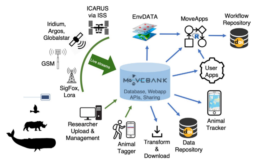 Movebank on Twitter: "(7) MoveApps - Movebank's companion platform uses apps that users can ...