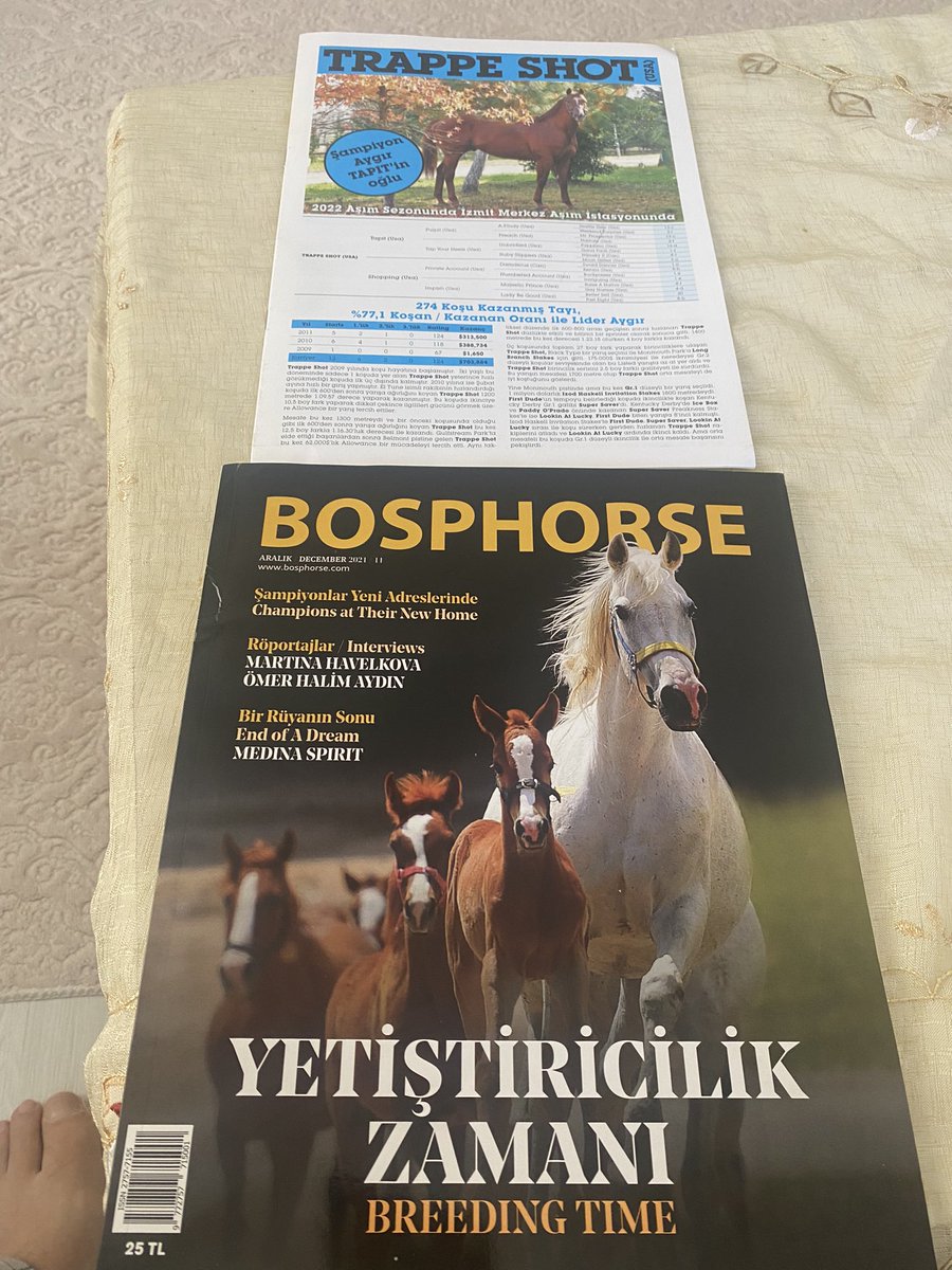 DEVRAN DEMİR (@DevranD20374540) | Twitter