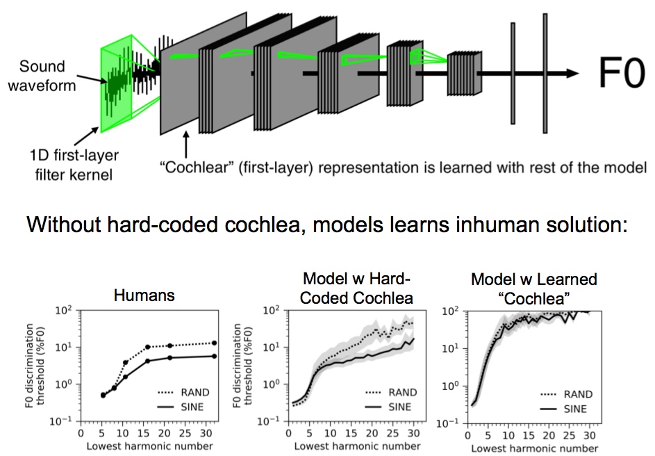 Thread by @JoshHMcDermott on Thread Reader App – Thread Reader App