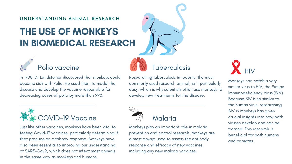 Animals Used In Biomedical Research