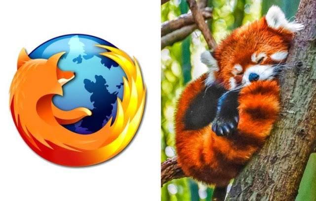 Firefox Animal