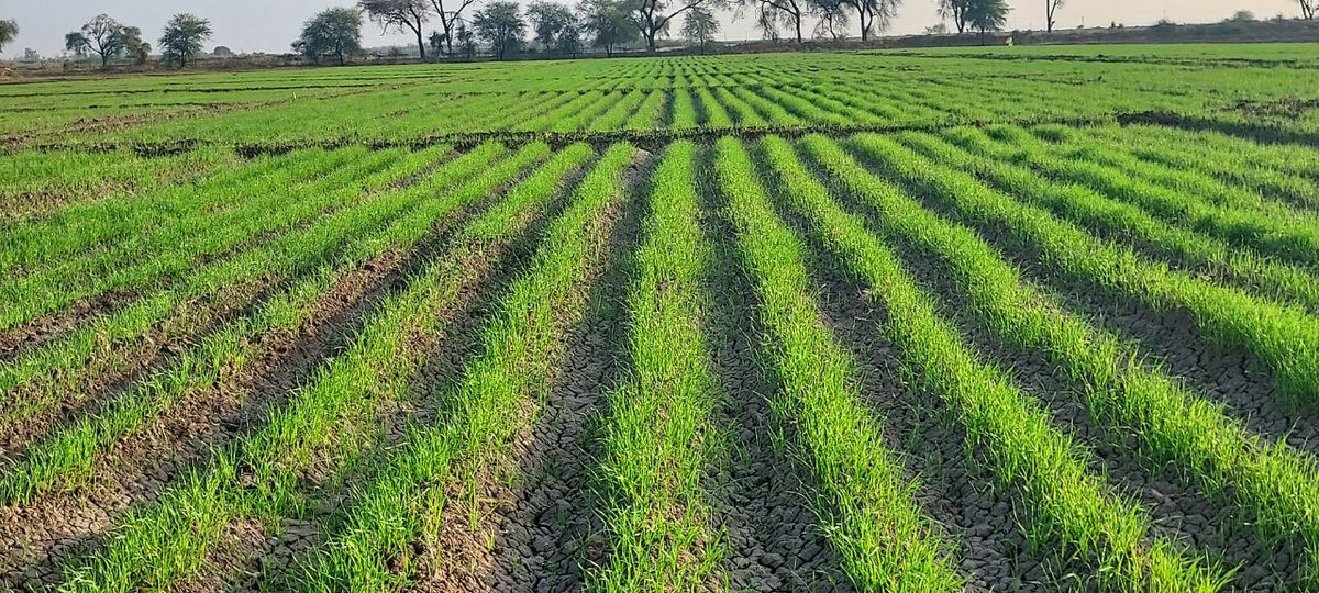 Mandefro Nigussie (@mandefro_niguss) | Twitter