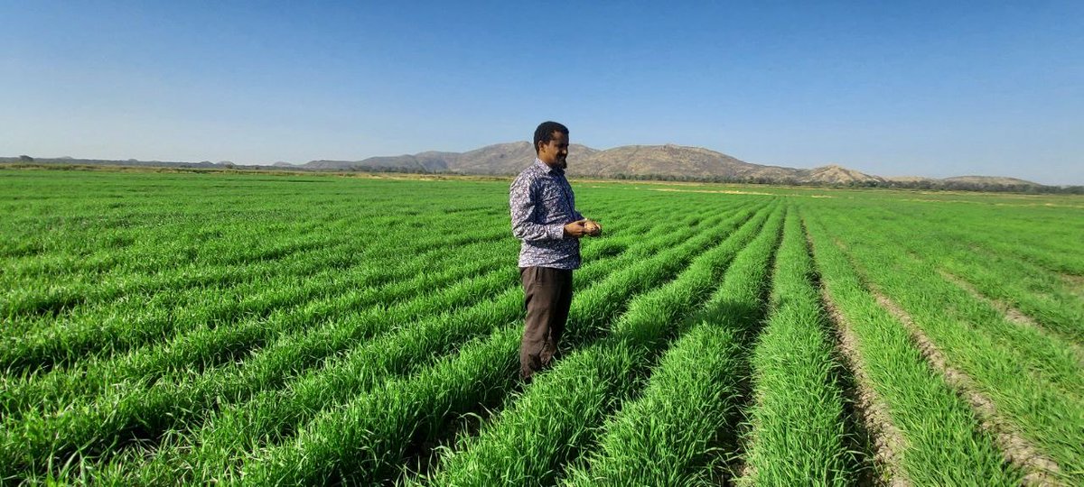 Mandefro Nigussie (@mandefro_niguss) | Twitter