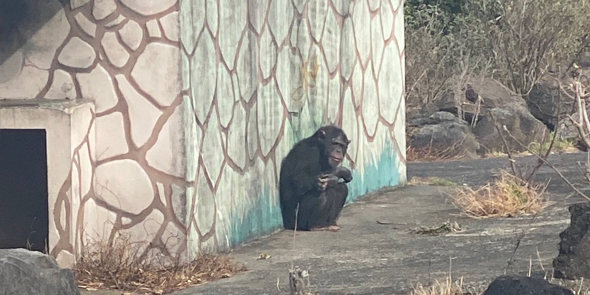 株式会社IOBI /イオビ 【公式】 (@iobi_intern) | Twitter