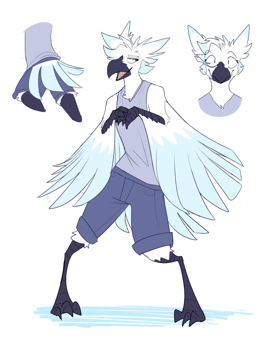 Anthro Bird