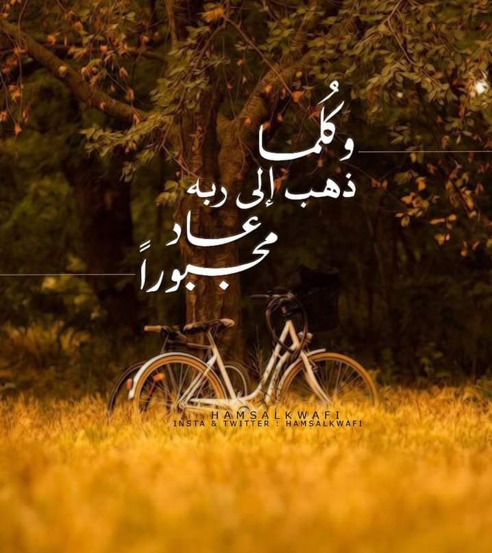 انا الهيبه Sameh (@Sameh24388868) | Twitter