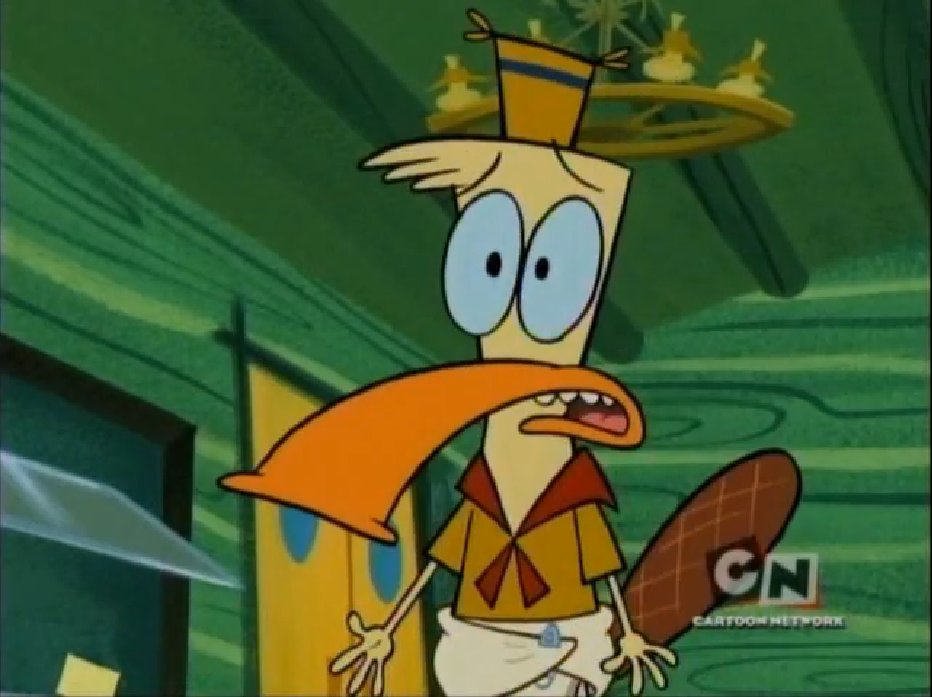 Camp Lazlo Edwards Brothers