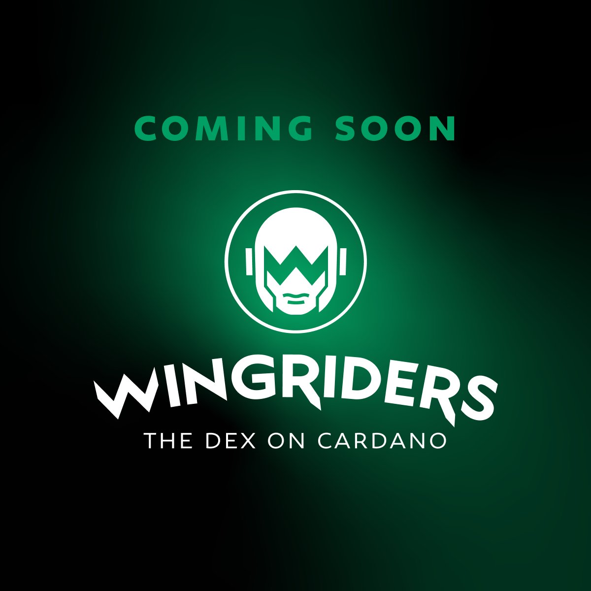 WingRiders (@wingriderscom) | Twitter