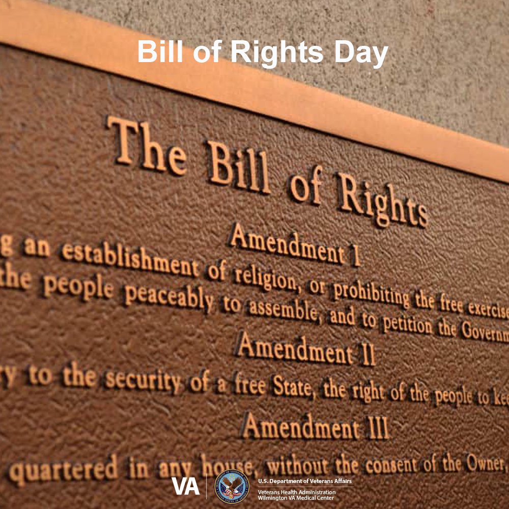 Individual Rights Constitution