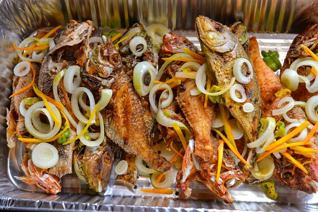 Jamaican Sprat Fish