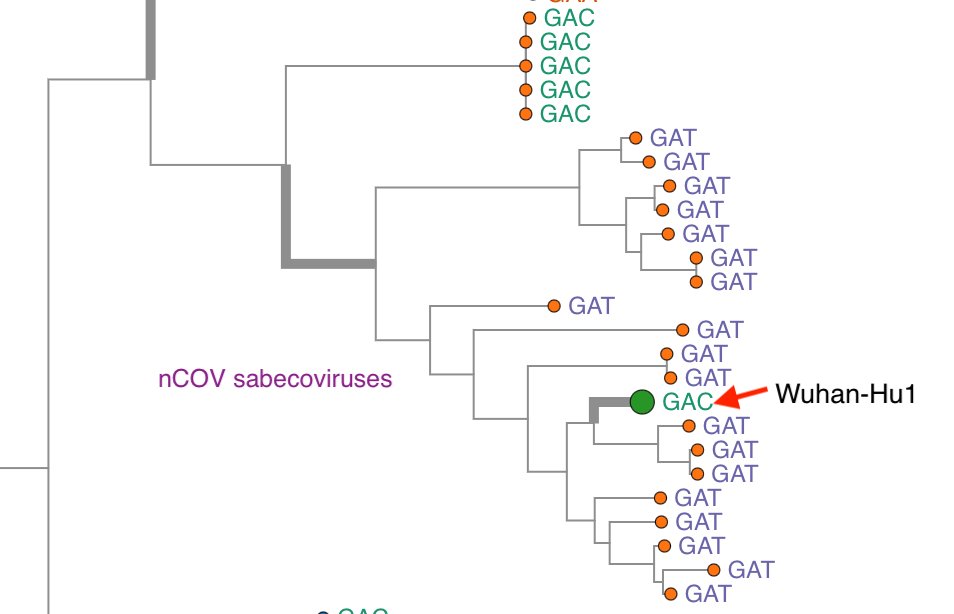 Thread by @sergeilkp on Thread Reader App – Thread Reader App