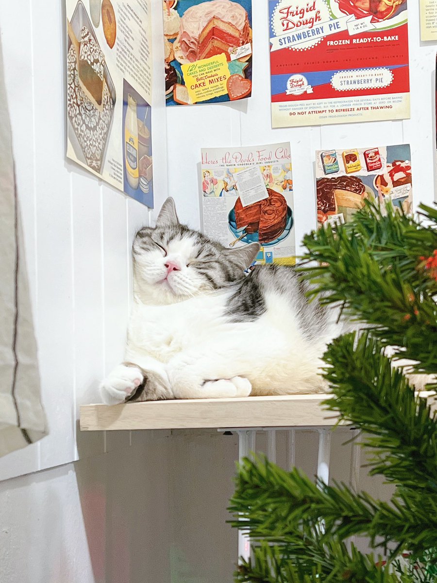 🎭 AofApp ♥ 🅜🅑 🎭 (@Aofapp___) | Twitter