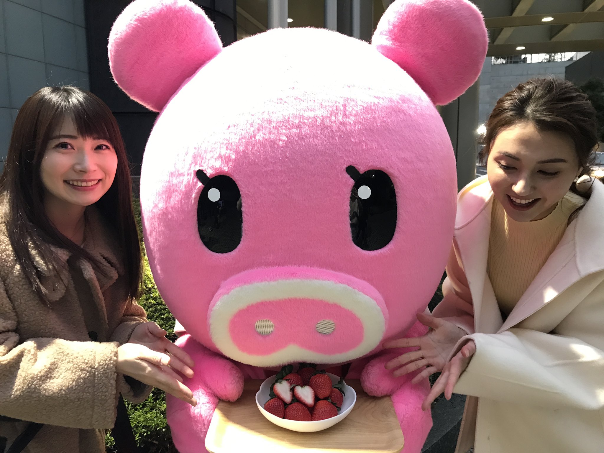 TBS天気 on Twitter: "【#年末の予定🗓60秒天気】 #今年も残り半月 となりましたが、 ブーナちゃんはまだまだ予定がたくさんあるようですよ🐽 きょうのNスタも見逃せない👀 ...