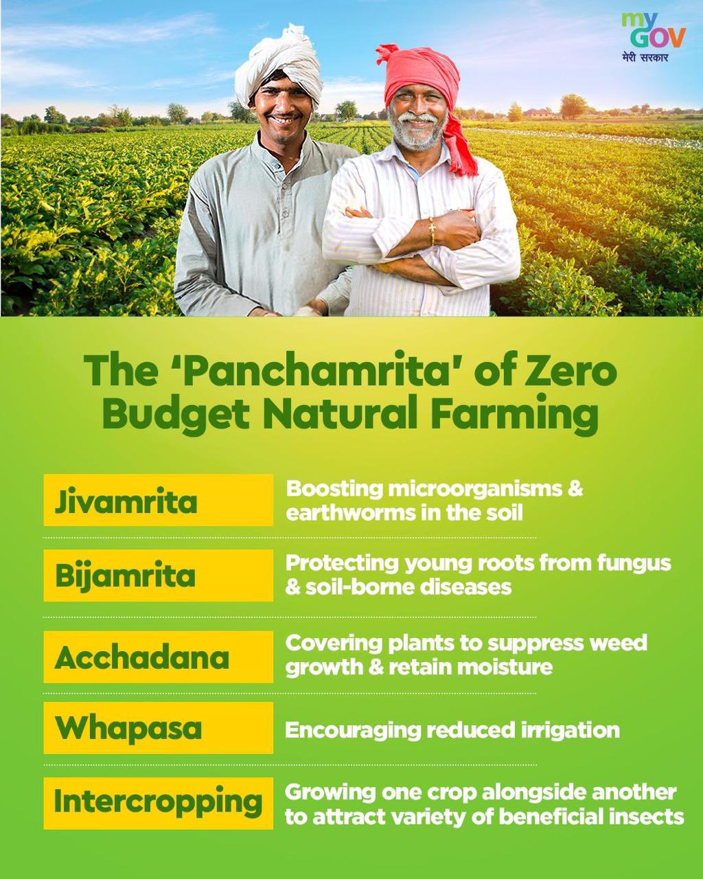 Examining The Hype About Zero Budget Natural Farming PDF) Zero Budget