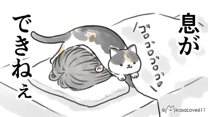 ミカサにゃんの飼い主 Mikasalove611 さんのイラスト・マンガ作品まとめ 39 件 Twoucan