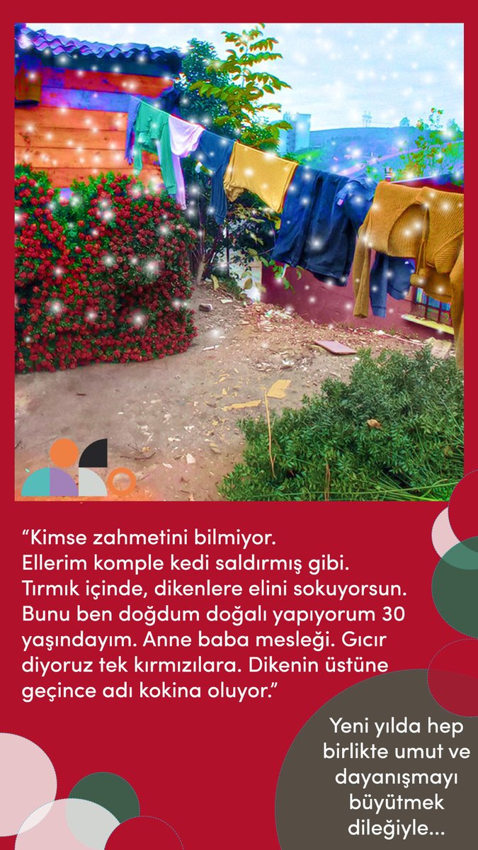 Gozde Sekercioglu (@gozdesek) | Twitter