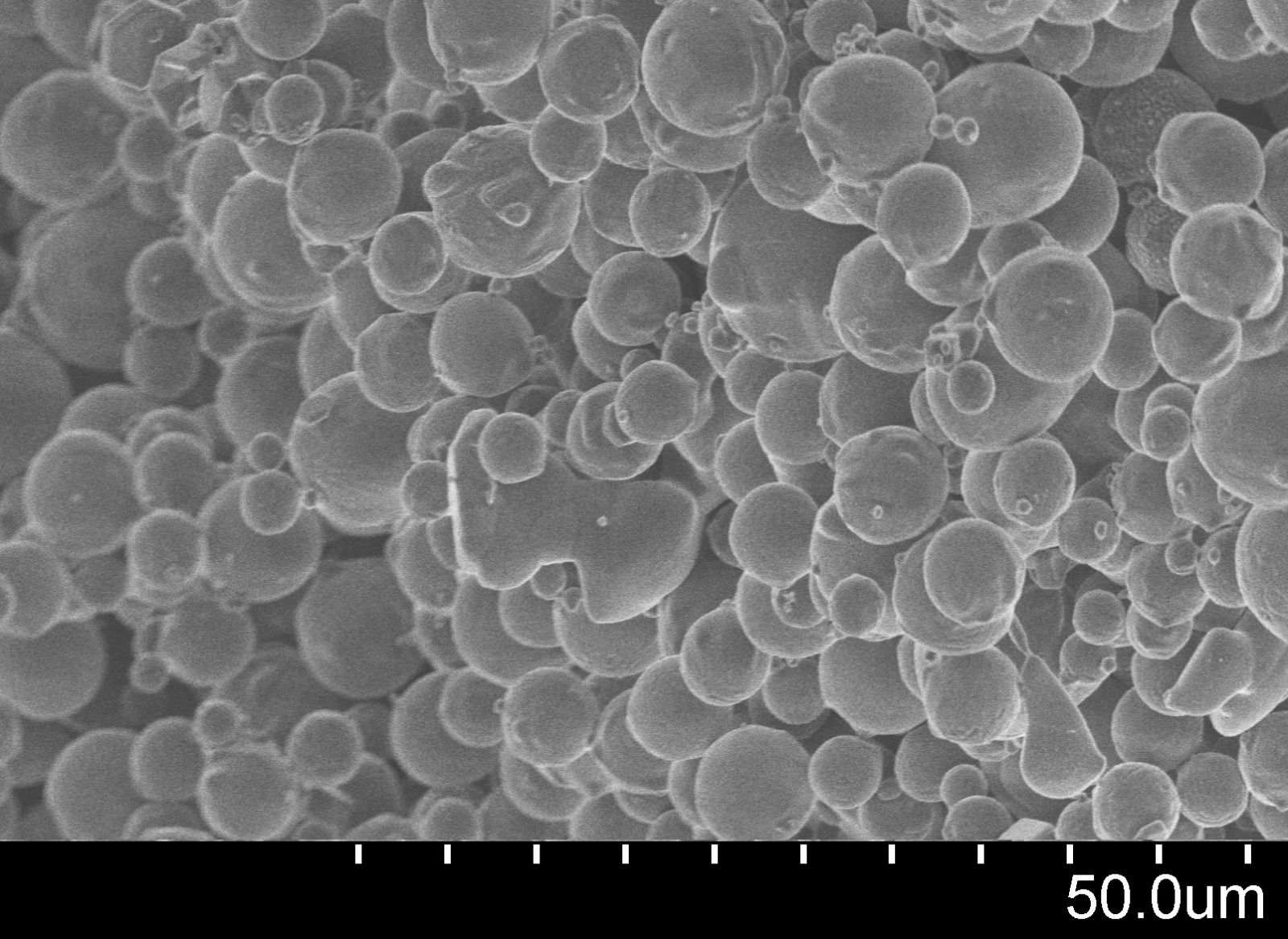 Electron Microscope Ice