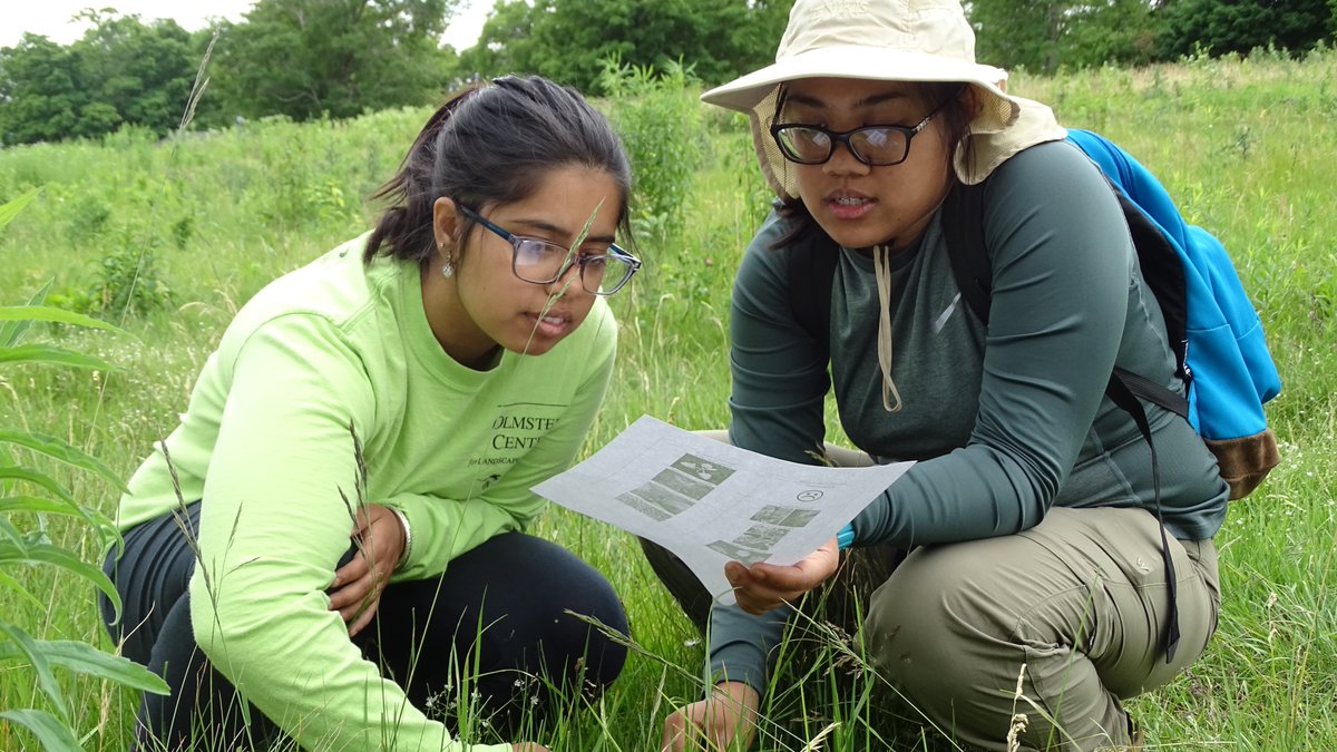 [USA--MA] Internships in forest and cultural ecology (closes 4 Feb ...