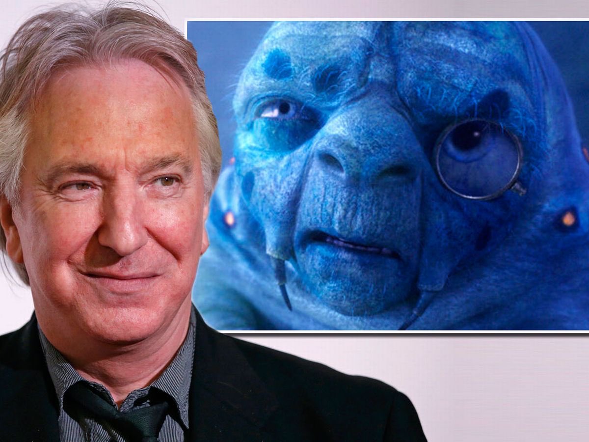 Carl Friedlander's Instagram, Twitter & Facebook on IDCrawl