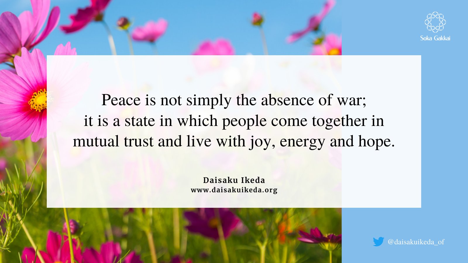 Peace Summary Quotes