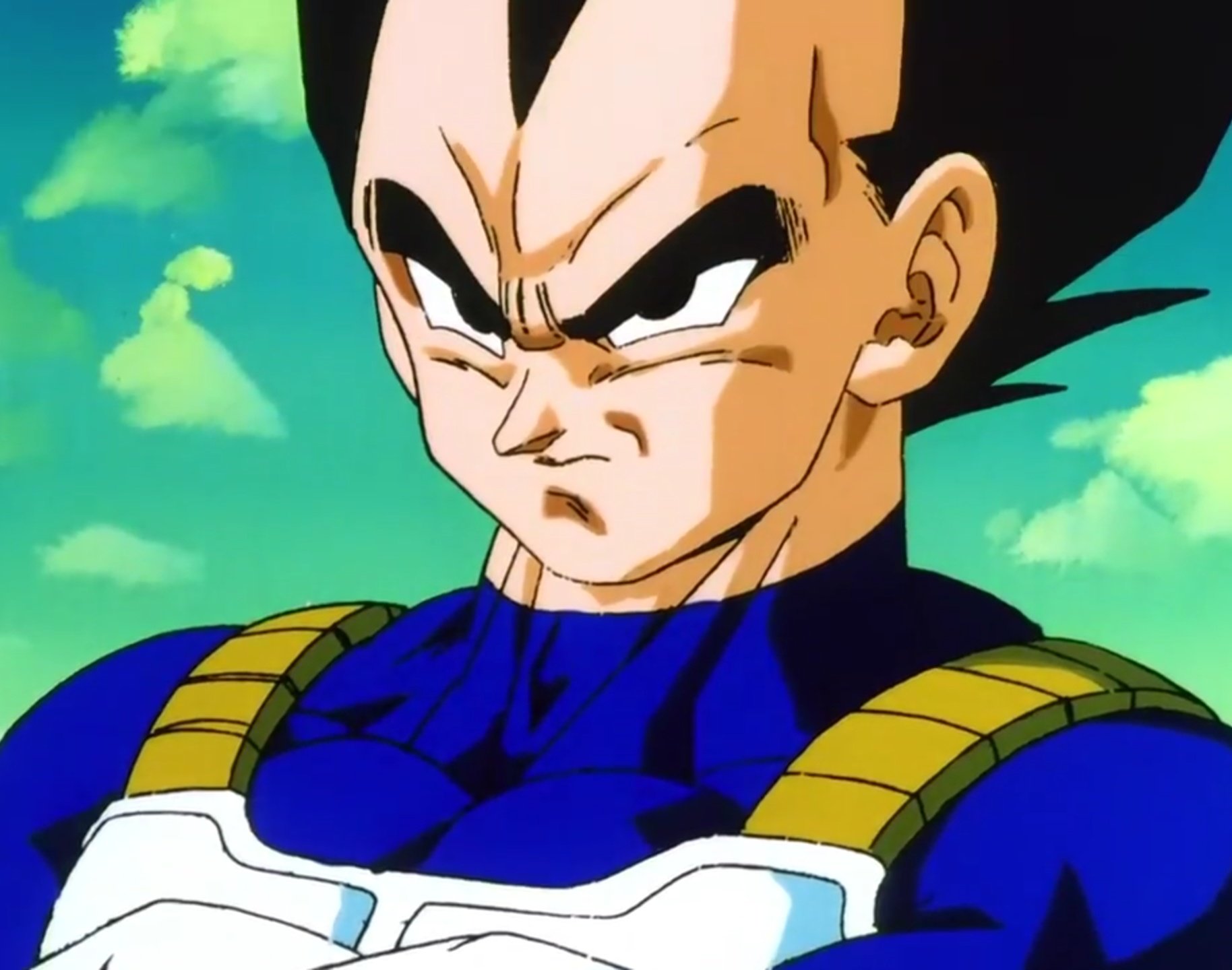 Vegeta Normal Face