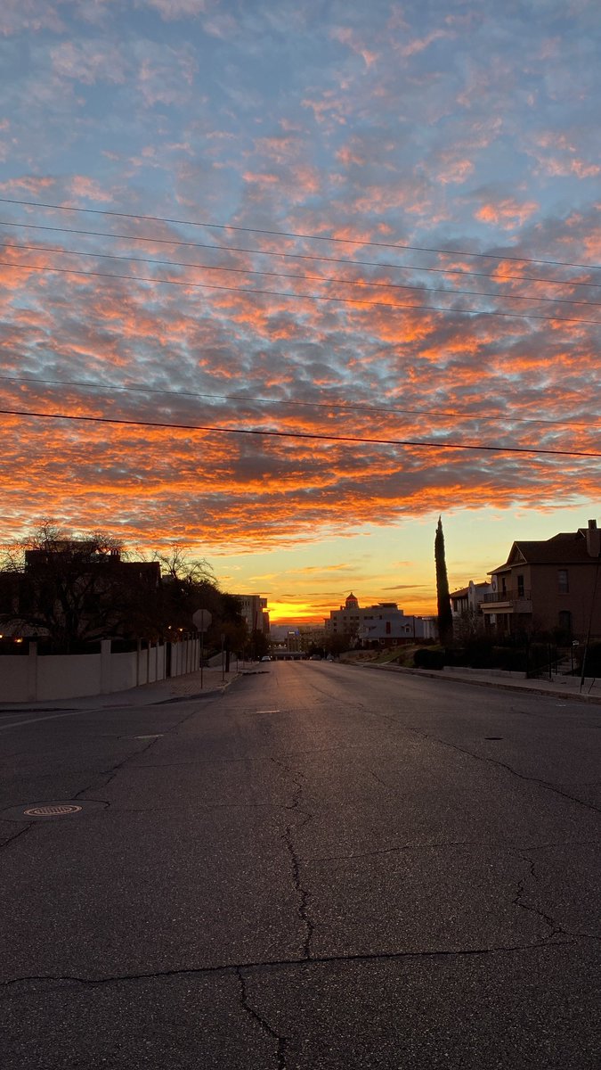 Fiona Webster 🌎🌏🌍 (@fiona_webster22) | Twitter