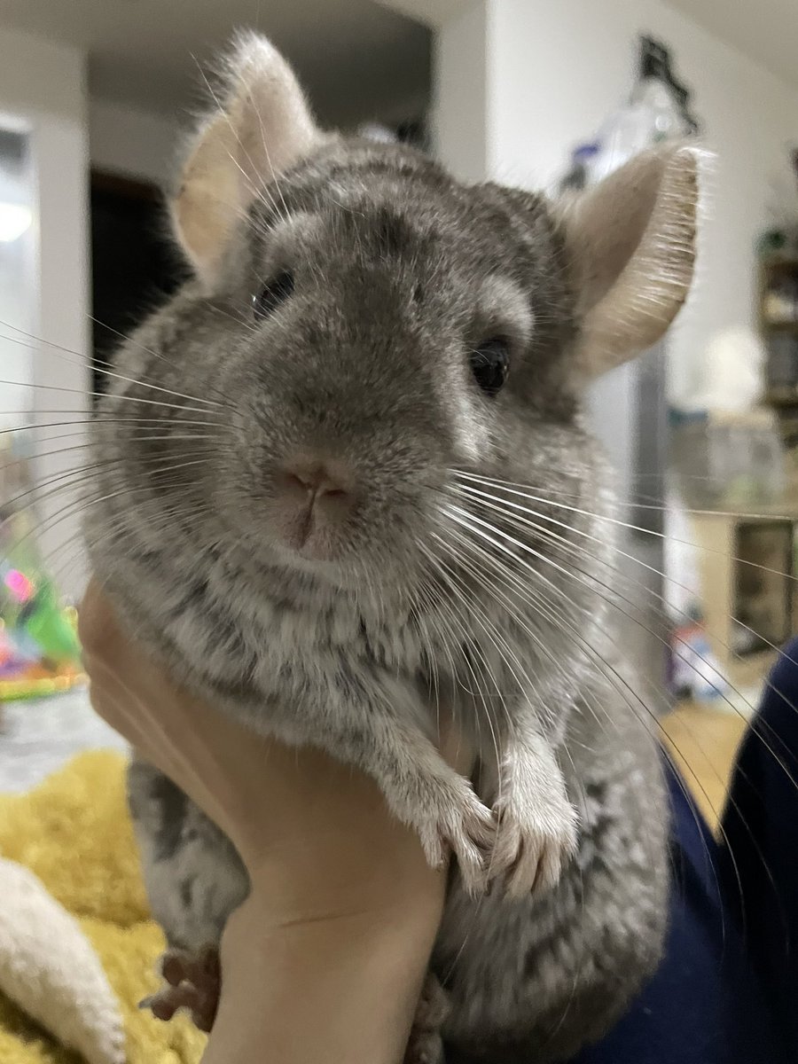 @tyomateee2 CandyTt @candytt0211