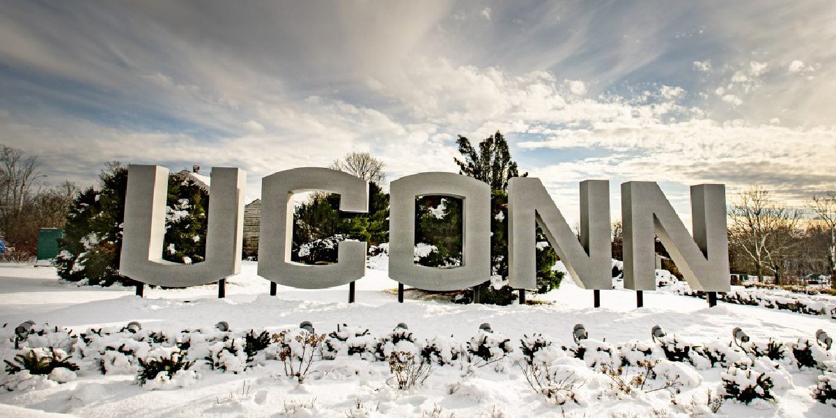Uconn Campus Winter