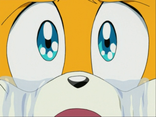 Tails The Fox Sonic X Crying
