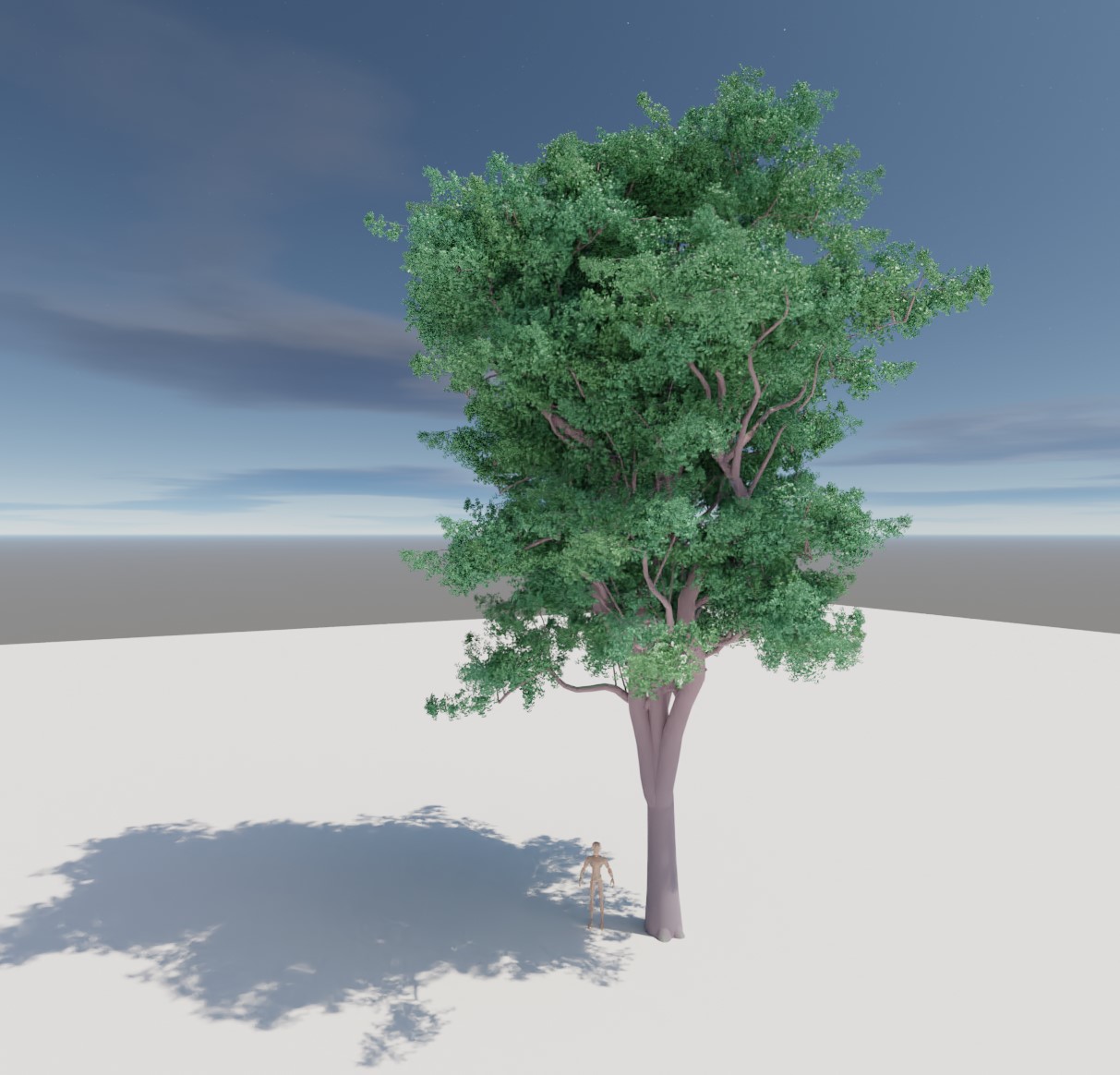 Simon Kopp (@SimonKopp3) / Twitter