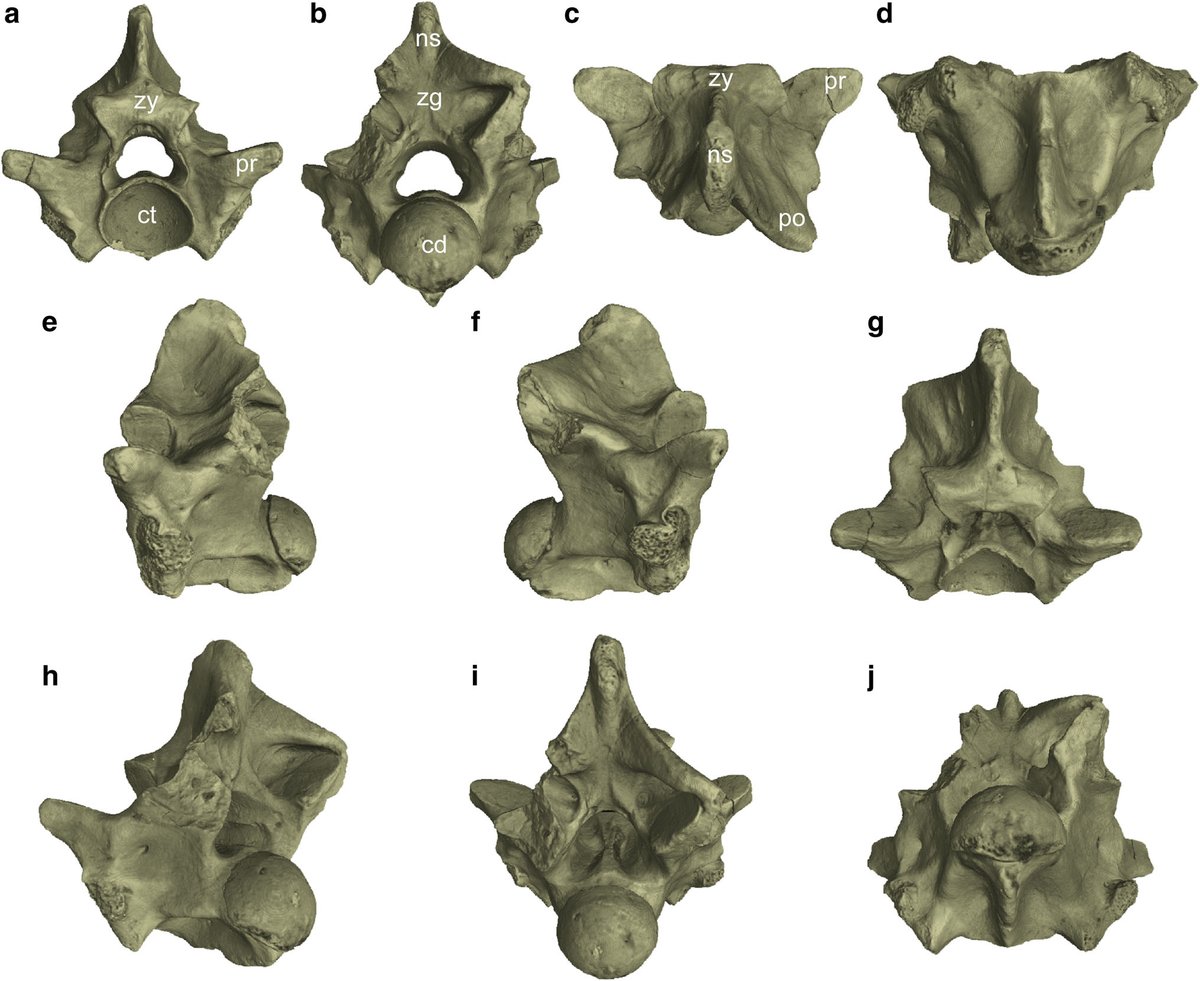 Dr. Georgios Georgalis (@DrGeorgalis) | Twitter