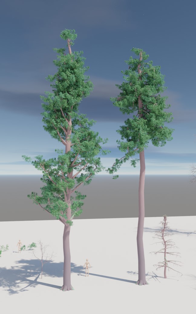 Simon Kopp (@SimonKopp3) / Twitter