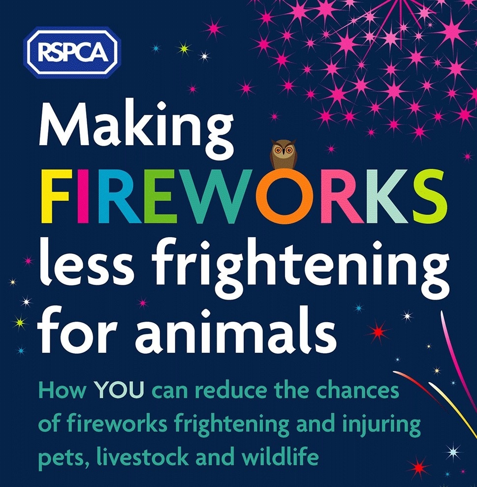 RSPCA York, Harrogate & District Branch - Adopt an animal