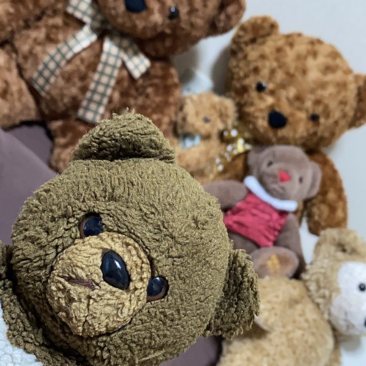 たろう (@taro_moonbear) | Twitter