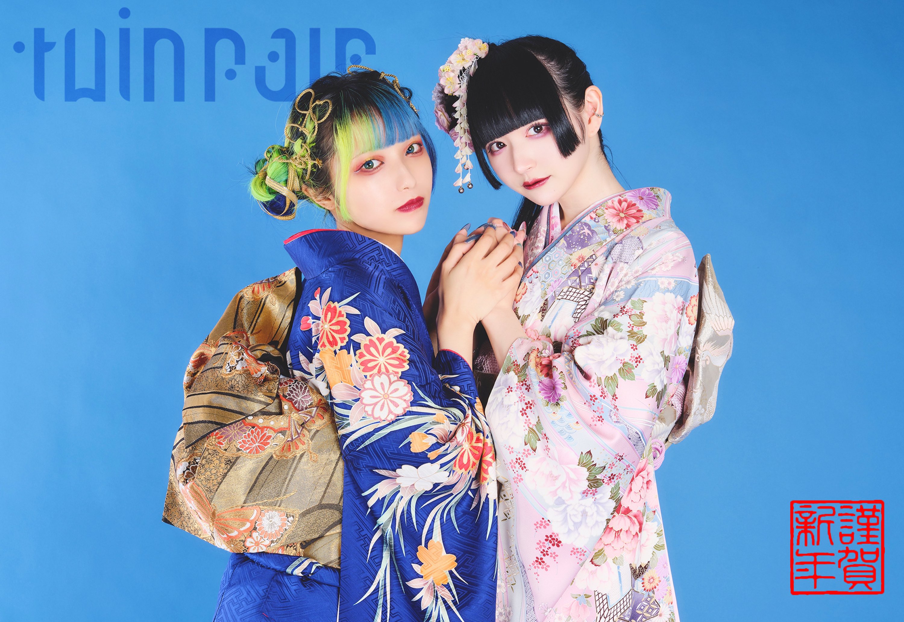 Hoshidoru 48: twinpale