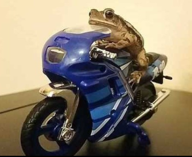 Kermit The Frog Driving Motorcycle
