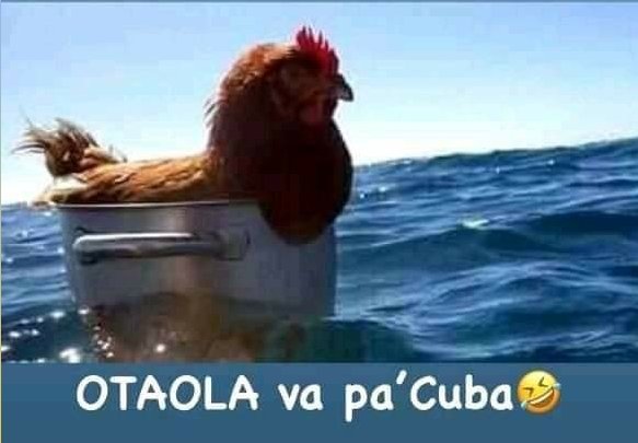 Pollo Tropical Memes