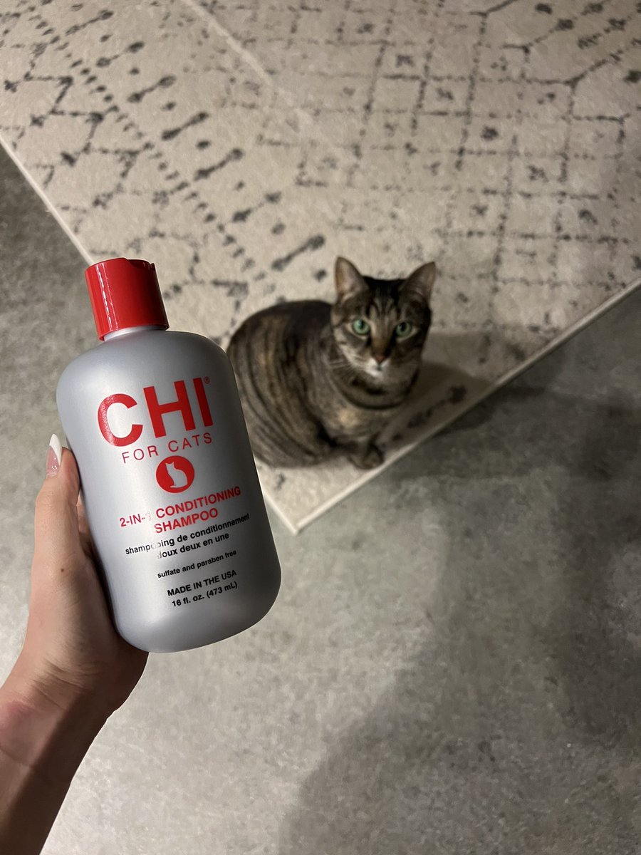 she smells delicious now 🥰 https://t.co/C7kVCW4aAf 𝒽𝒶𝓁𝑒𝓎 🌸 @haleyspades